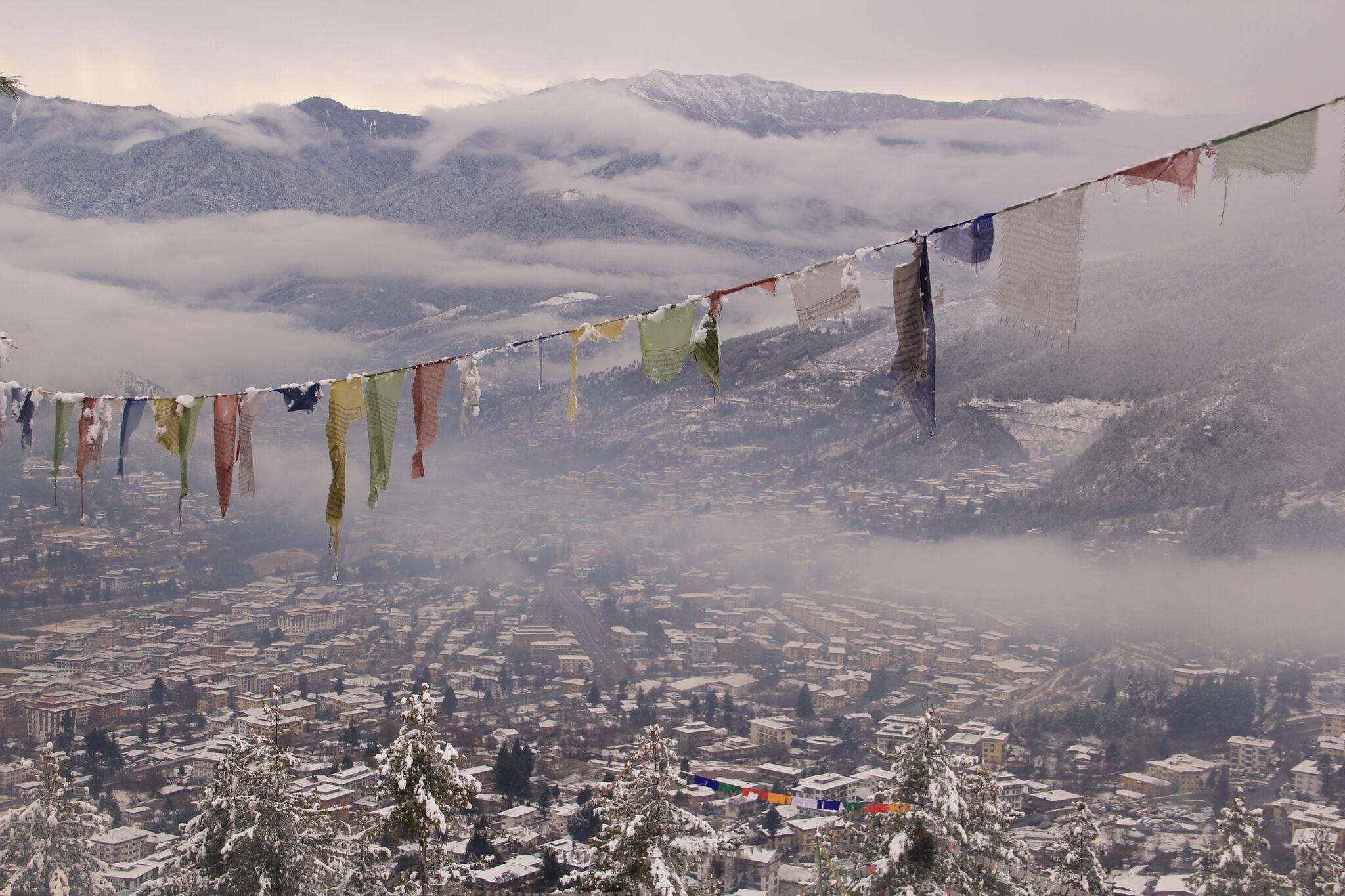 Private Day Trips - Bhutan Swallowtail